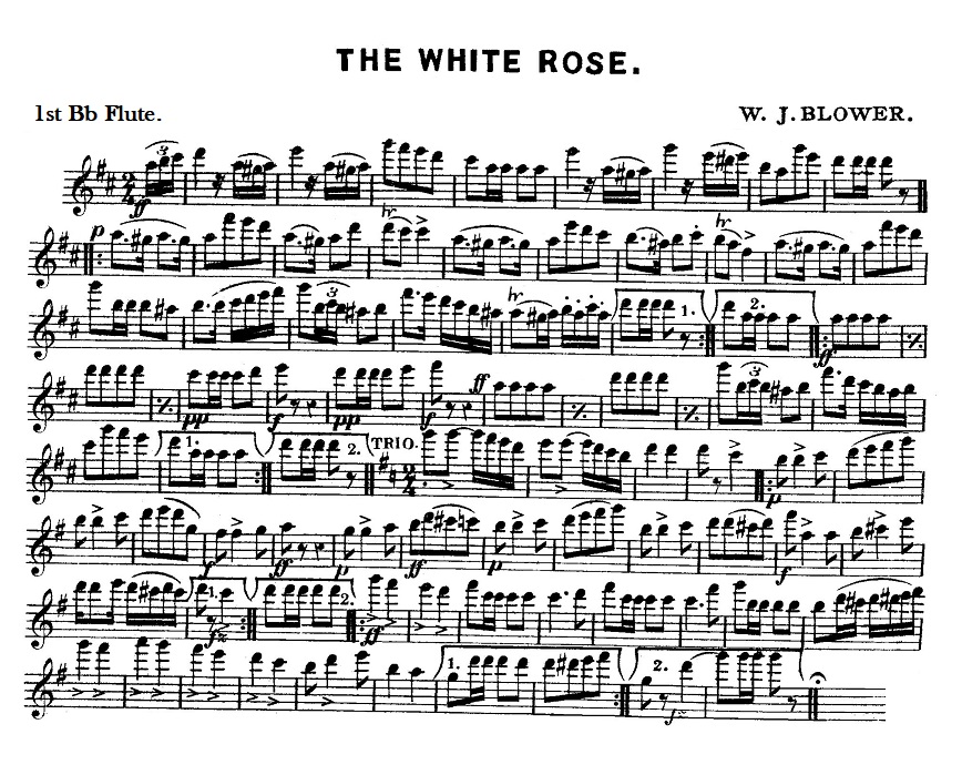 When The White Rose Blooms Again Song at Hudson Gooch blog
